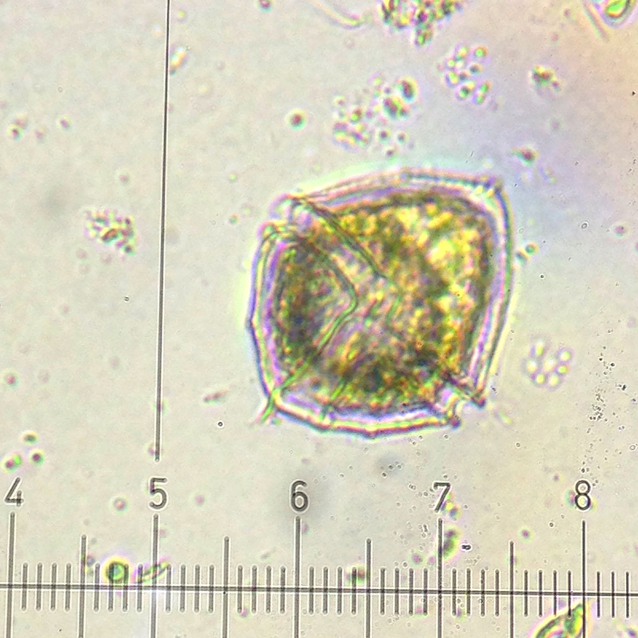 Gallery – Science Thursday